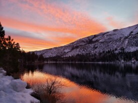Gallery – Annett's Mono Village